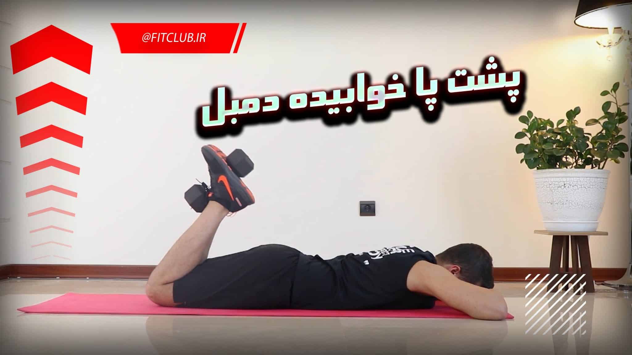 آموزش حرکت بدنسازی پشت پا خوابیده دمبل | مجله تخصصی فیت کلاب