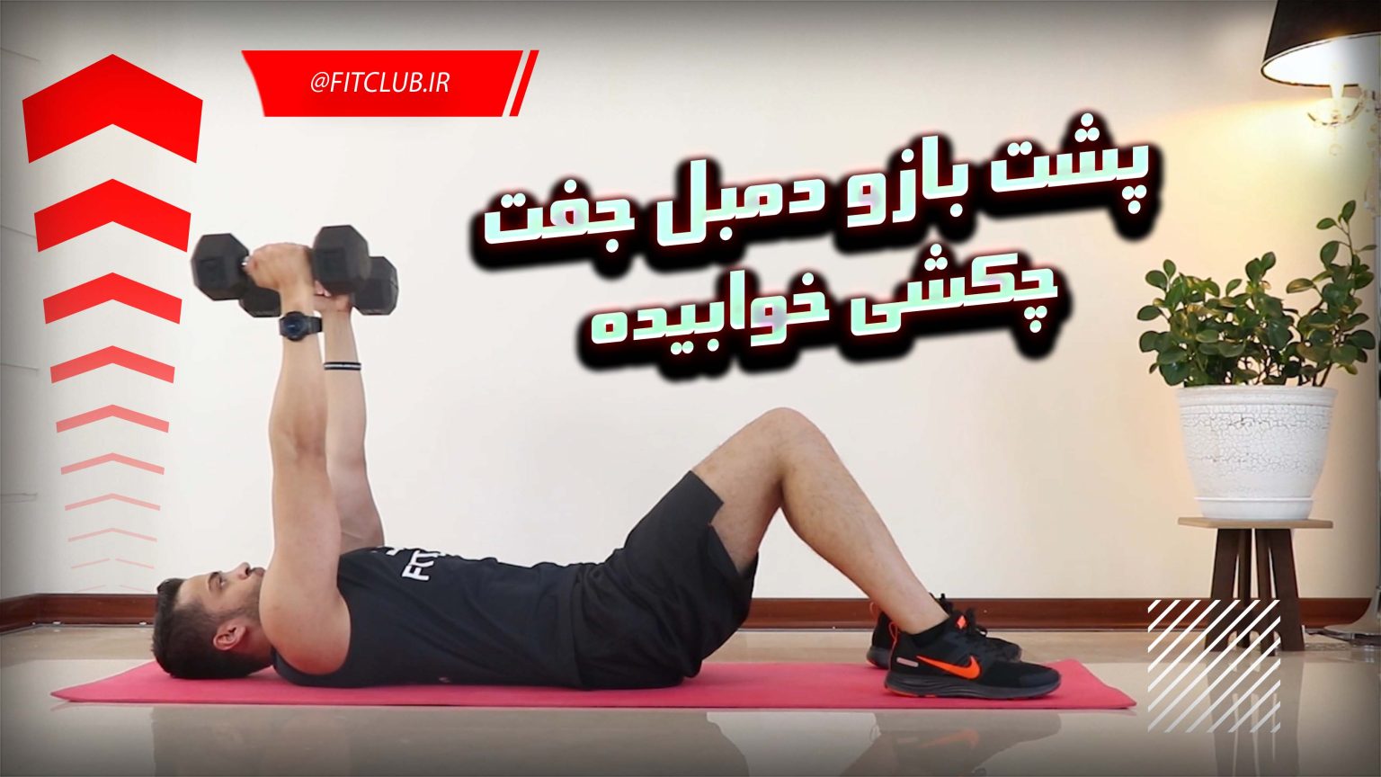 آموزش حرکت بدنسازی پشت بازو دمبل جفت چکشی خوابیده مجله تخصصی فیت کلاب