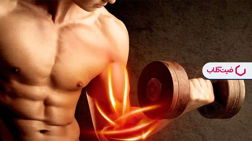 برنامه بدنسازی چربی سوزی؛ بیشترین چربی را بسوزانید و عضله بسازید! | فیت ...